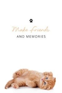 Pause Cat Cafe – The Souths First Cat Cafe