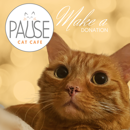 Shop – Pause Cat Cafe